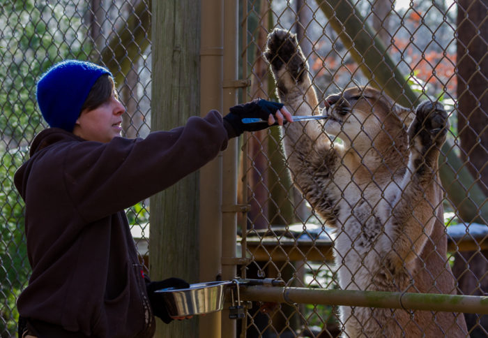 Adopt An Animal - WNC Nature Center