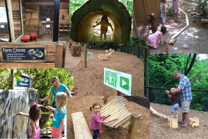 Activities - WNC Nature Center