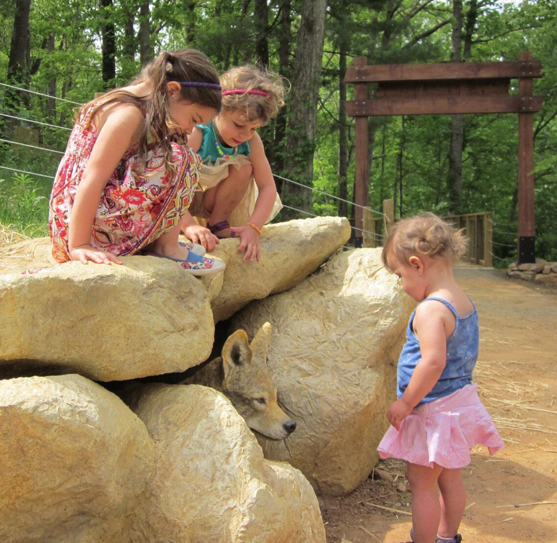 Membership - WNC Nature Center