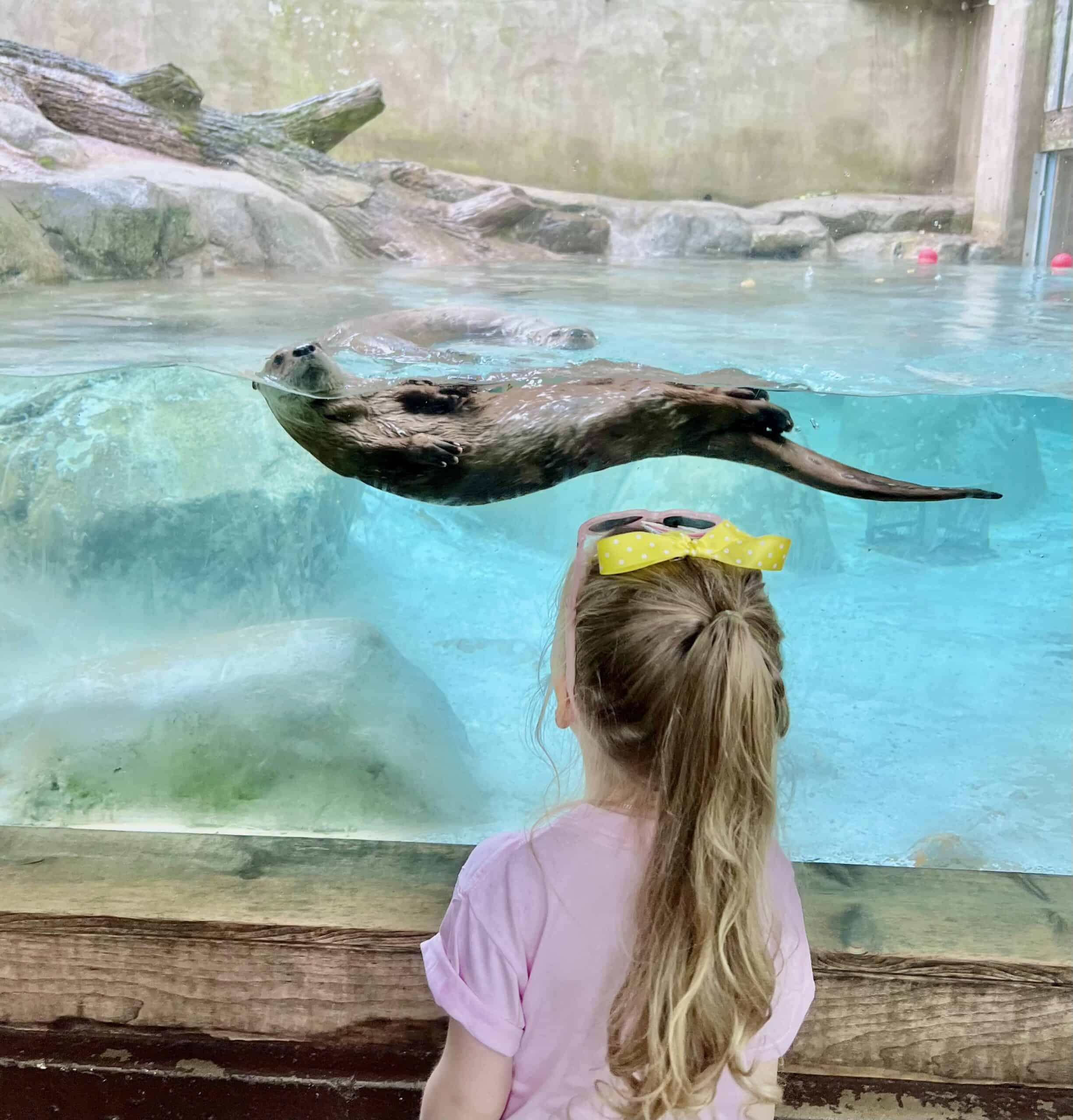 WNC Nature Center Economic Impact Report - WNC Nature Center